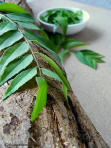 South Indian Curry Leaf Rice (Karu vepillai Sadam) - The Spice Adventuress